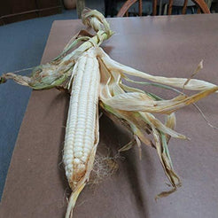Peruvian Hominy Corn Seeds - Giant Heirloom Non-GMO | Farm Hand Seeds ...