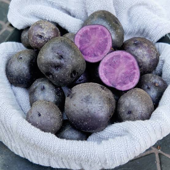 Black Berry Potato – Rare Organic Heirloom Seed | Farm.hand.seeds