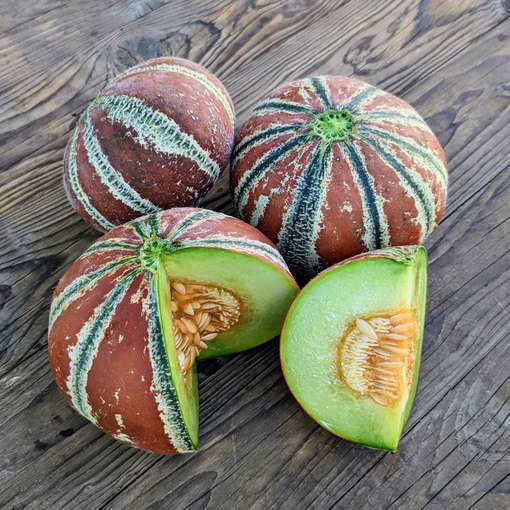 Kajari Melon Seeds | Rare Heirloom Striped Melon | Farm Hand Seeds ...