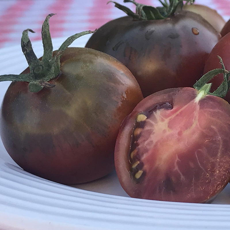 Black Prince Tomato Seeds - Russian Heirloom Variety | Farm Hand Seeds ...