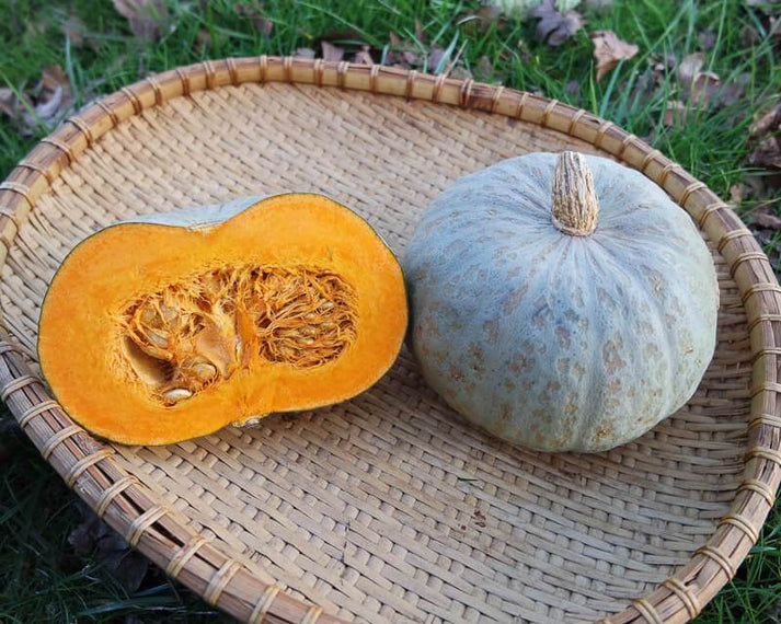 Blue Kuri Winter Squash - Heirloom Seeds | Farm Hand Seeds – Farm.hand ...